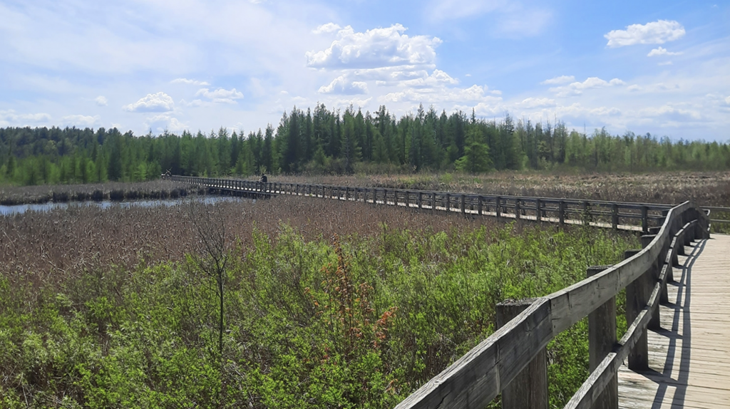 BEST NATURE WALK TRAILS TO EXPORE IN ONTARIO - Summer Fun Guide