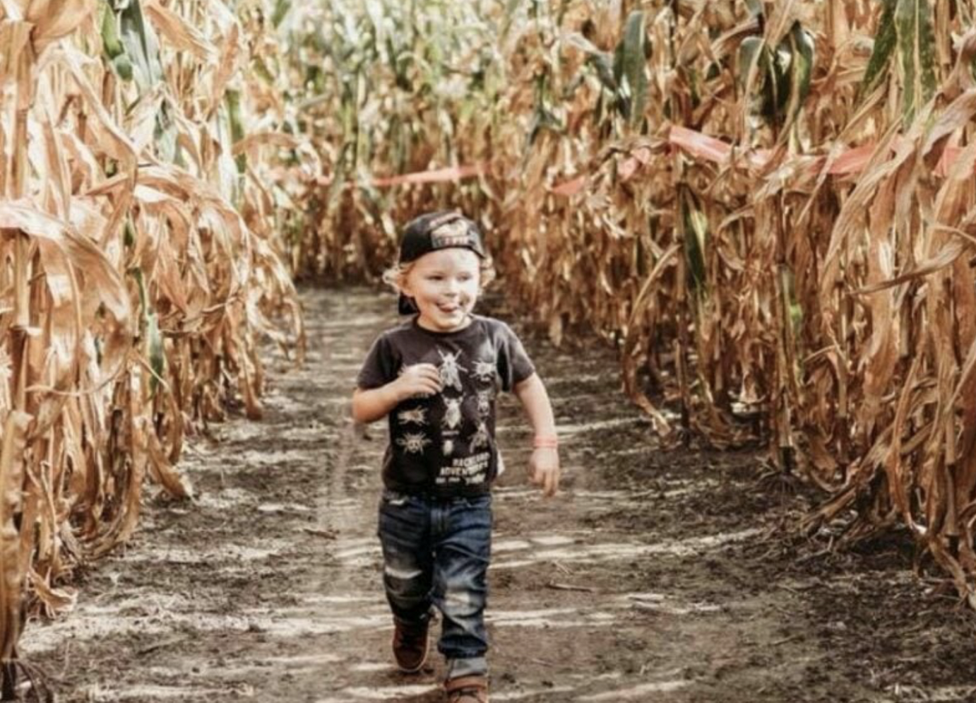 Fall Farms, Pumpkin Patches & Harvest Festivals in Ontario - 2025