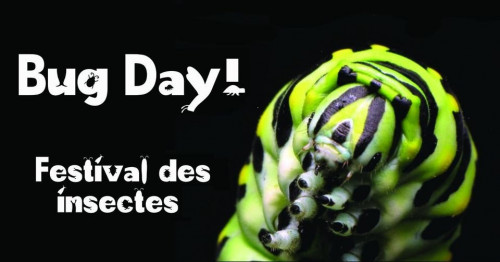 Bug Day Ottawa - Summer Fun Guide