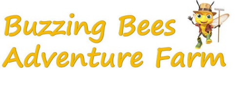 Buzzing Bees Adventure Farm - Summer Fun Guide