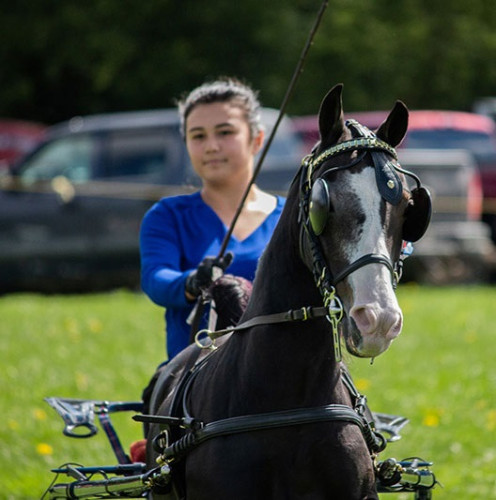 New Hamburg Fall Fair - Summer Fun Guide