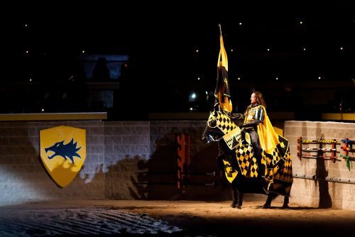 Want to be transported to a different realm where Knights reign? Check ...