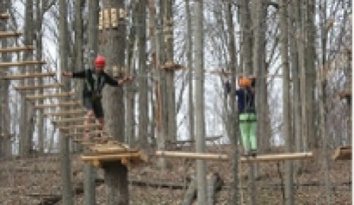Boler Mountain Treetop Adventure Park