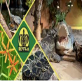 Southwestern Ontario Zoos, Exotic Animal Parks, Real Working Farms ...